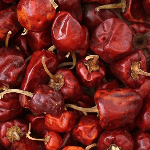 Ramnad Mundu/Gundu (S9) Chilli