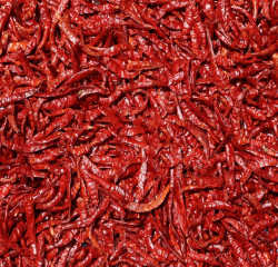 Chillies & Turmeric Varieties listed | Family Spices.